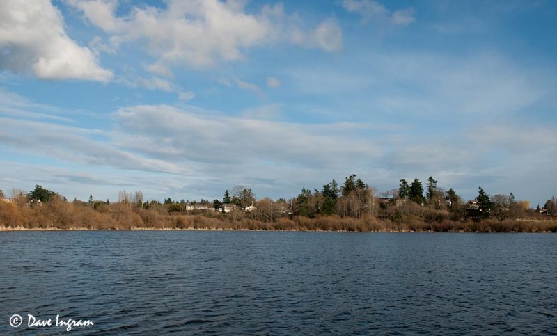 Swan Lake, Victoria, British Columbia - Island Nature