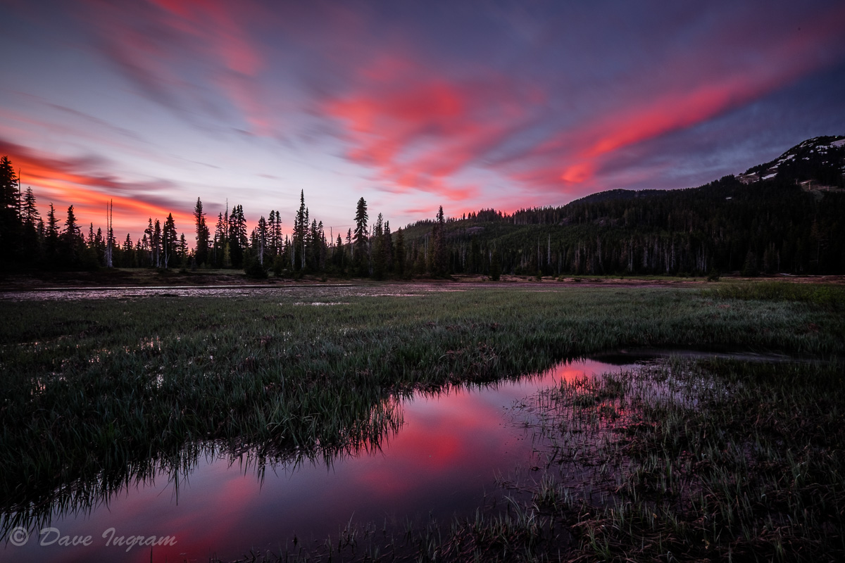 Paradise Meadows - Island Nature