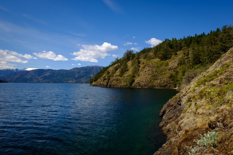 Re-visting Comox Lake Bluffs Ecological Reserve - Island Nature