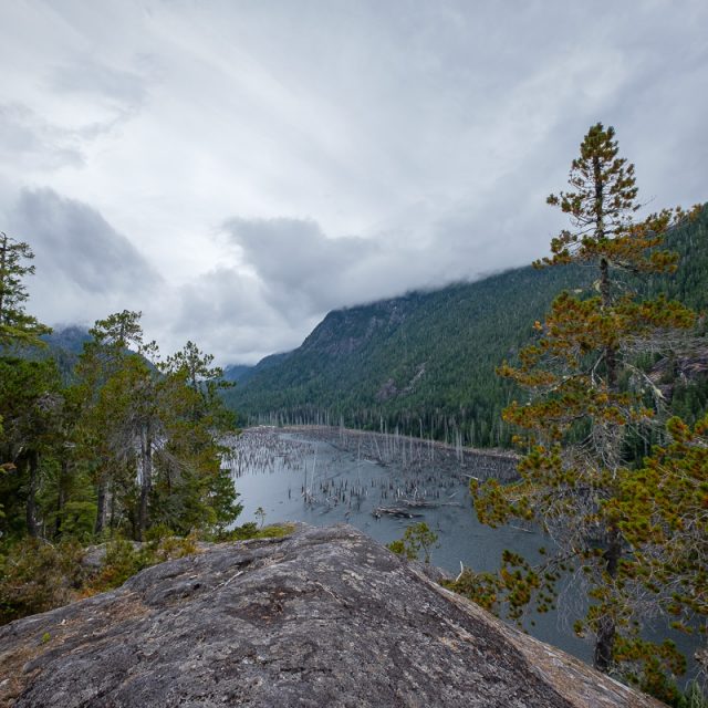 Island Nature - Featuring Vancouver Island nature and landscape ...