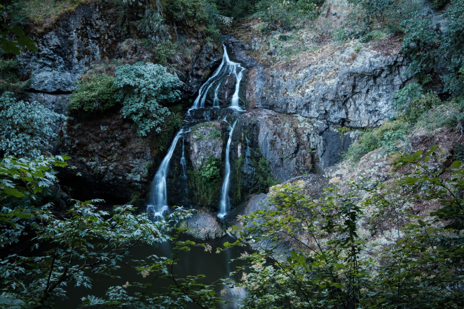 Witty's Lagoon and Sitting Lady Falls - Island Nature