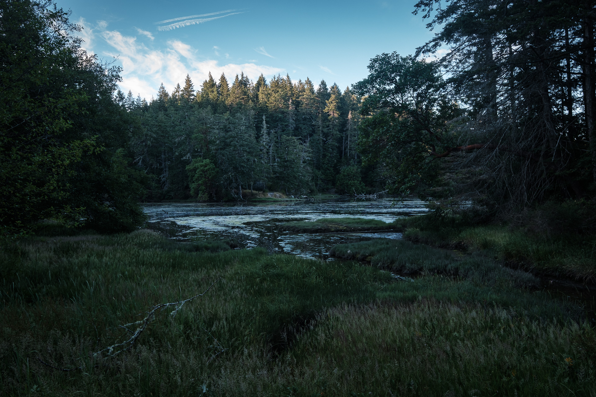 Witty's Lagoon and Sitting Lady Falls - Island Nature
