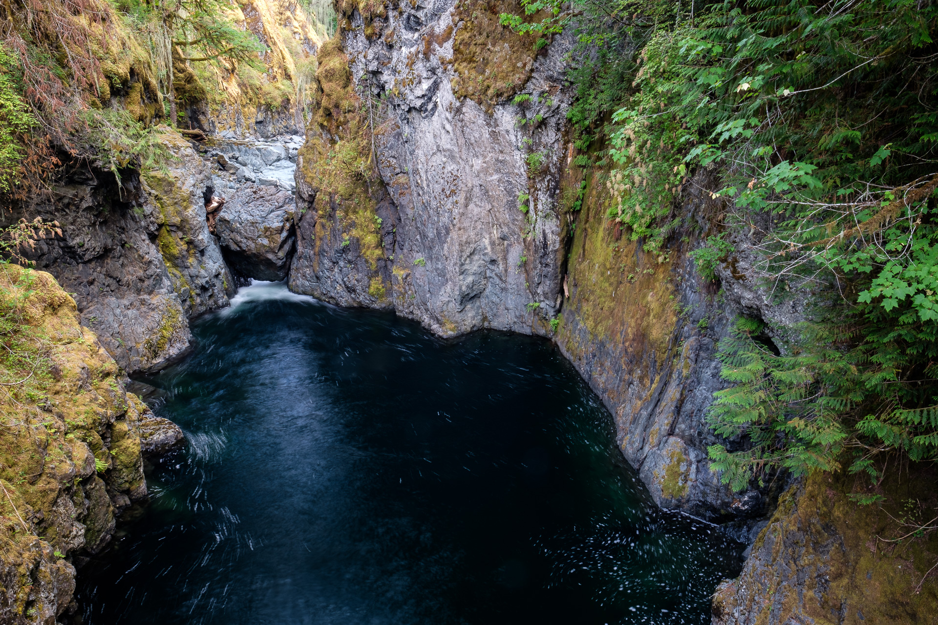 Exploring the Beauty of Englishman River Falls Park - Island Nature