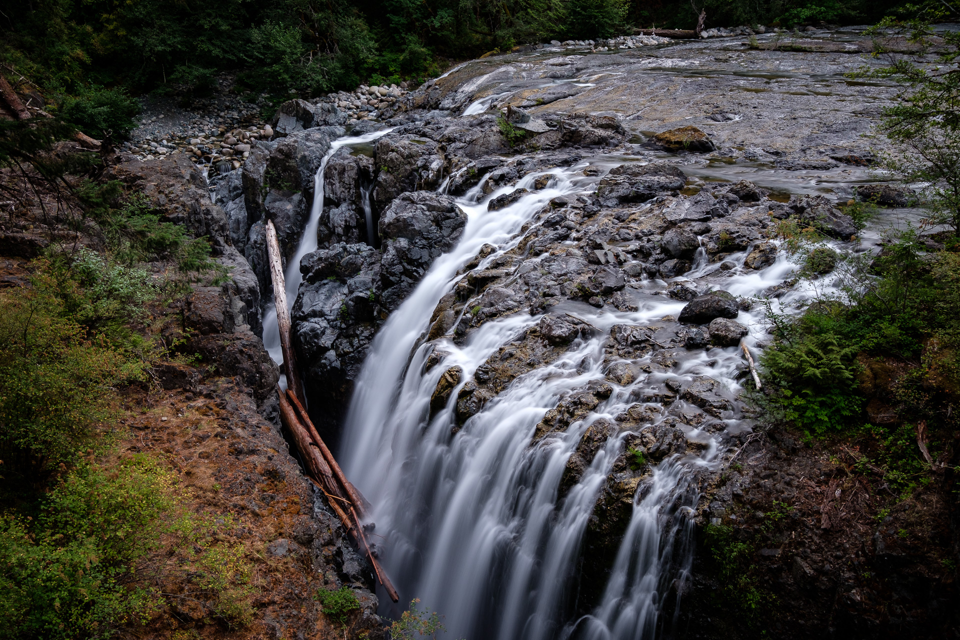 Exploring the Beauty of Englishman River Falls Park - Island Nature